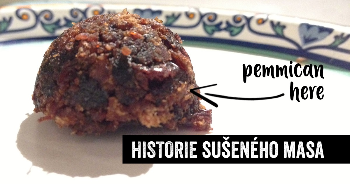 Američtí Indiáni nedali světu jen jerky. Seznam se s pemmicanem! | Maso ...